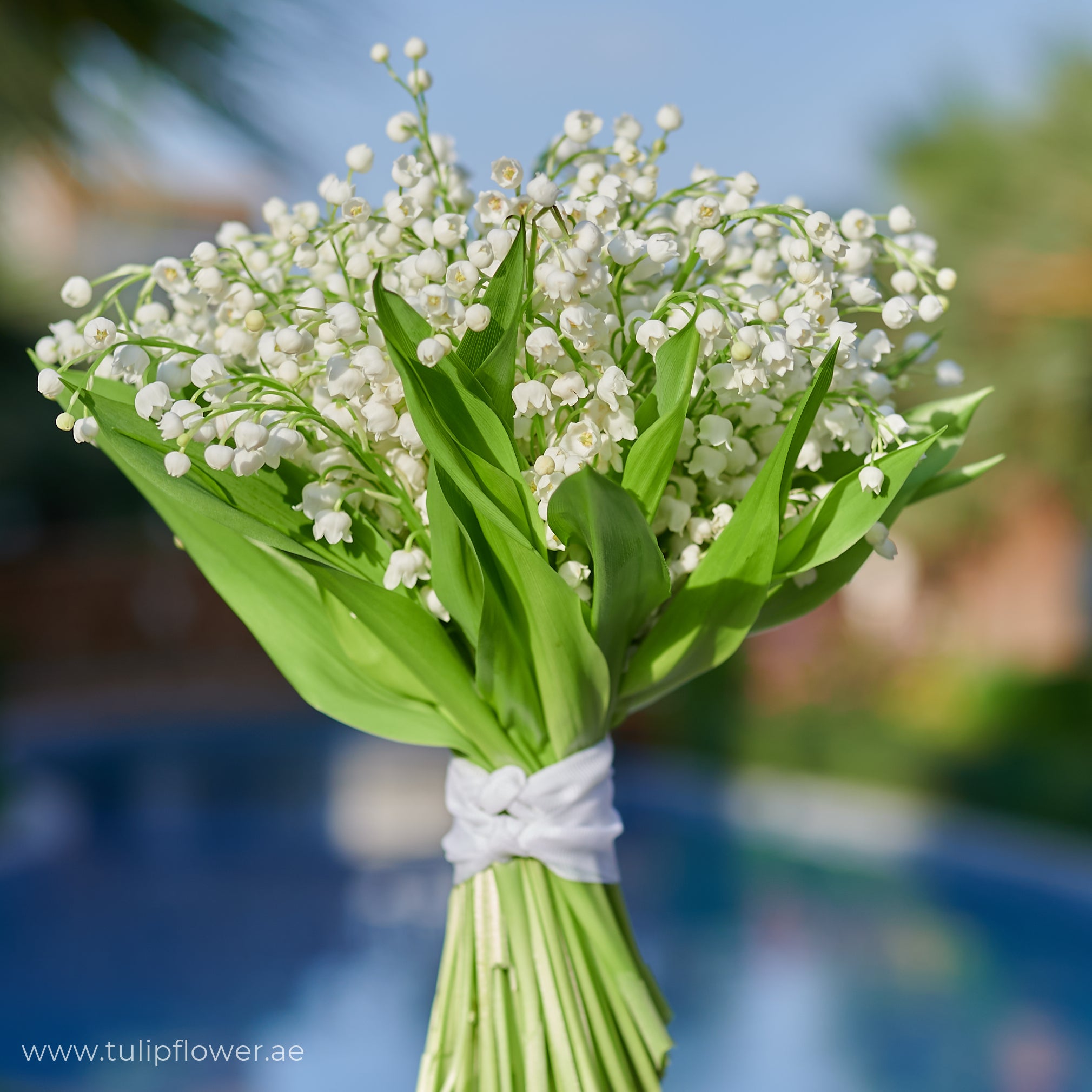 TF Bridal Bouquet – Tulip Flowers Tr LLC.