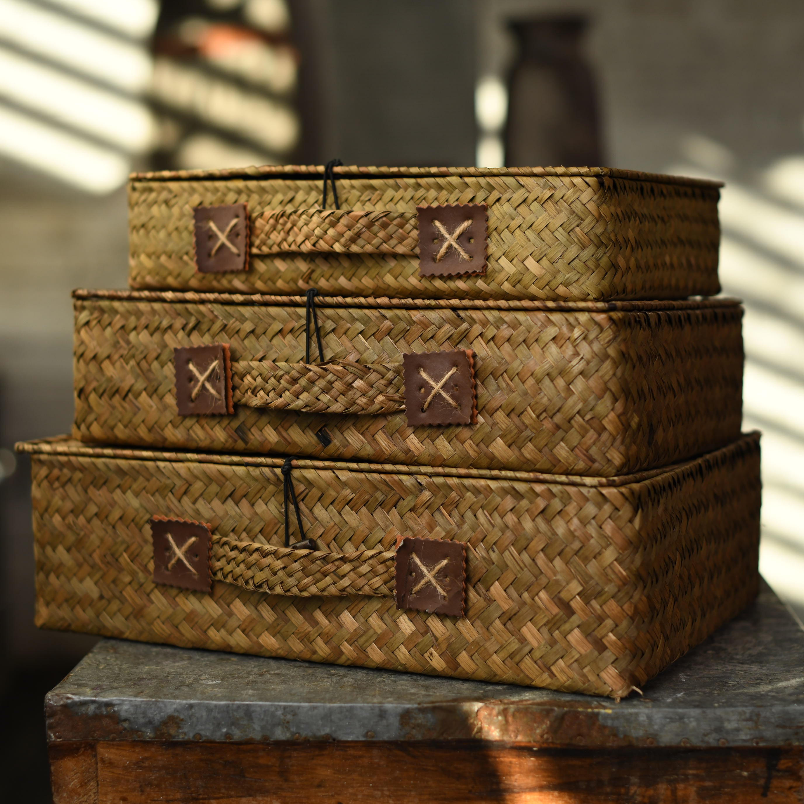 TF Straw Collection – Tulip Flowers Tr LLC.